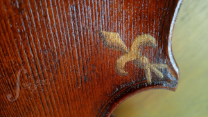 Studio Cello 4/4 - Ilja Grawert & Son Violinmakers