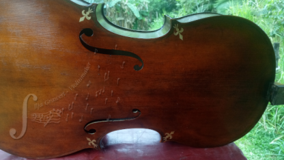 Studio Cello 4/4 - Ilja Grawert & Son Violinmakers