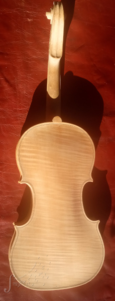 Left hand studio violin ready to varnish - Ilja Grawert & Son Violinmakers