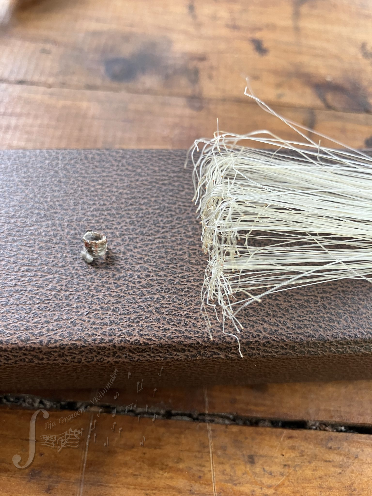 Bow hair mites?…or other causes - Ilja Grawert & Son Violinmakers